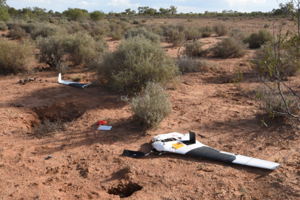 $80,000 drones ripped out of the sky by Australian wedge-tailed eagles