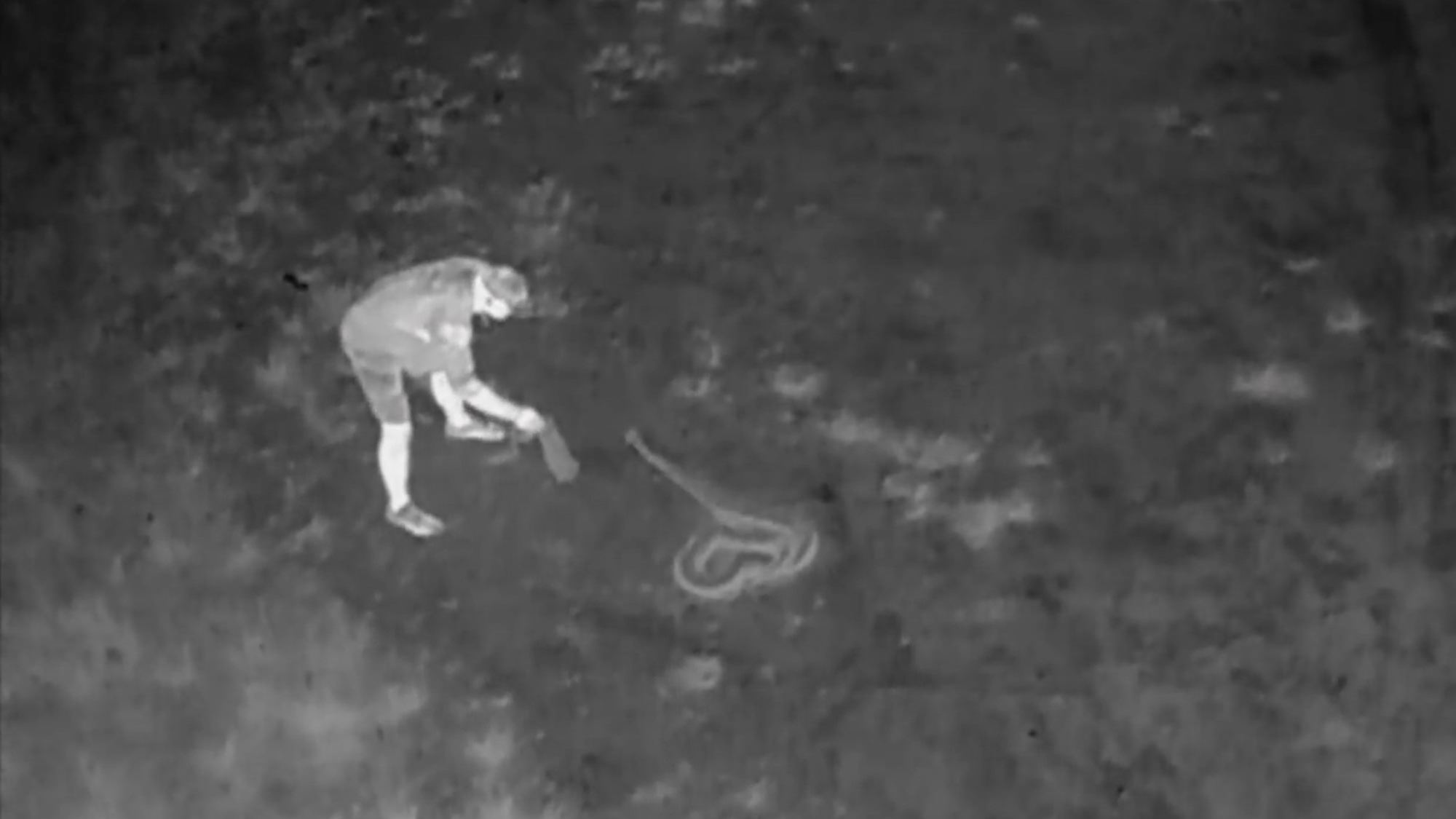 Snake hunters use infra-red drones to find invasive pythons in Florida ...