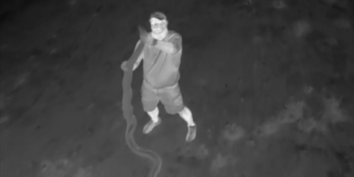 Snake hunters use infra-red drones to find invasive pythons in Florida ...