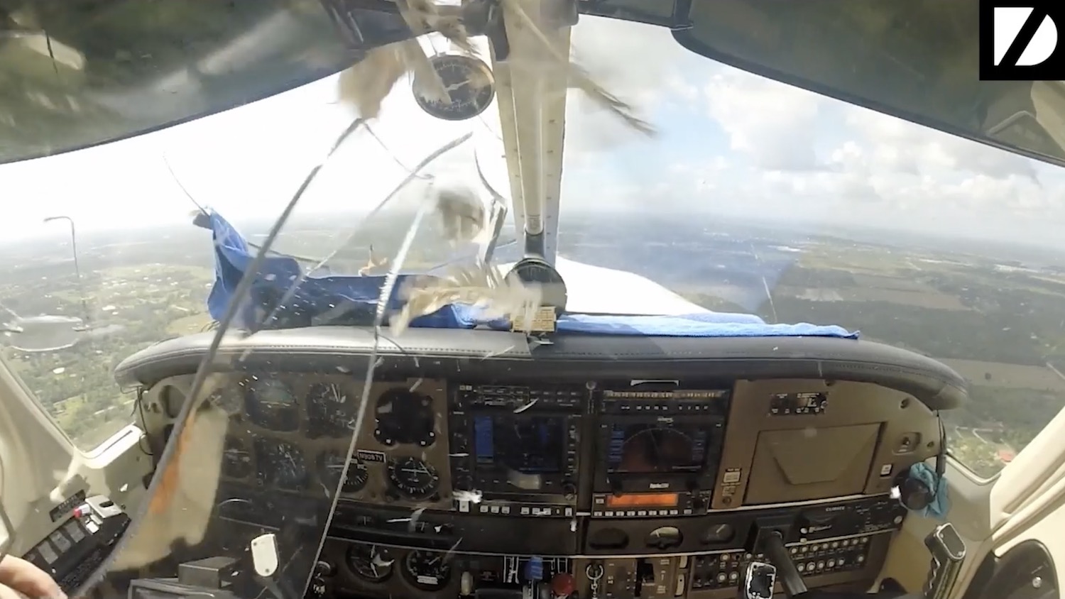 Pilot stays calm as bird smashes through the windshield of a small ...