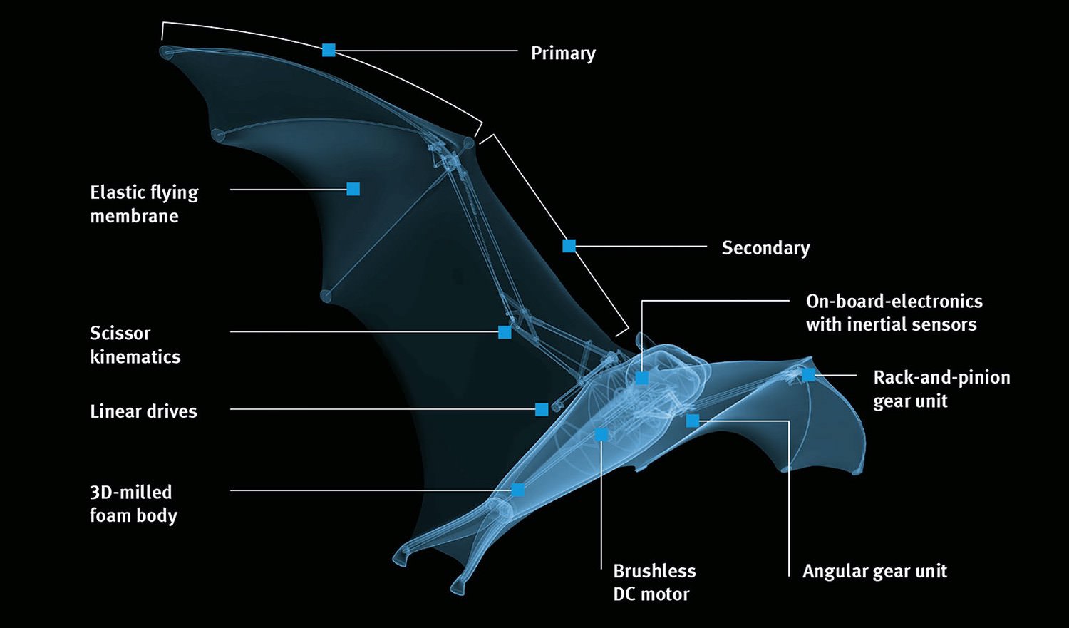 Meet Festo's semi-autonomous Bionic Flying Fox with a wingspan of more ...