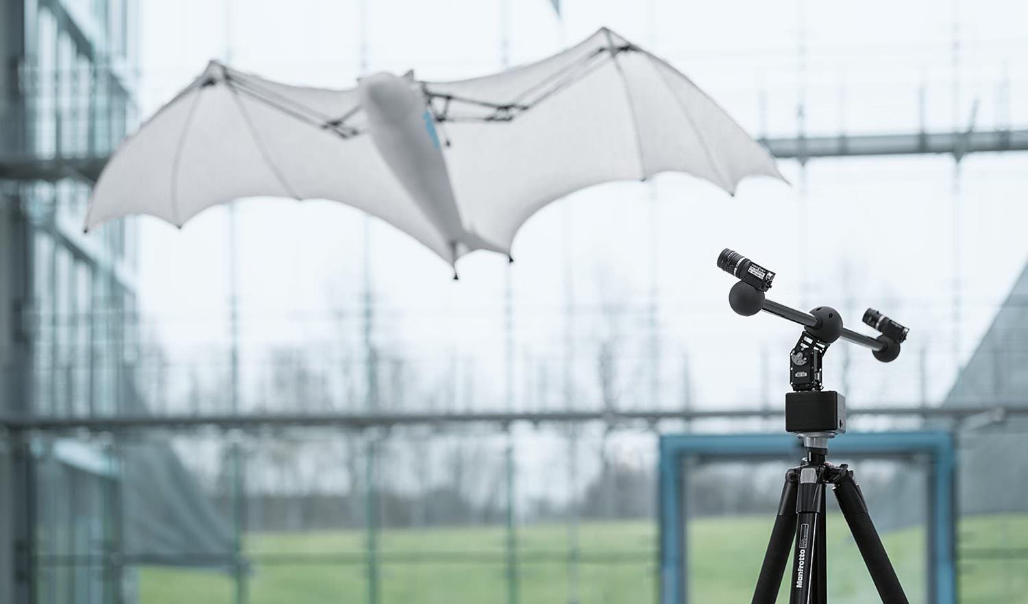 Meet Festo's semi-autonomous Bionic Flying Fox with a wingspan of more ...
