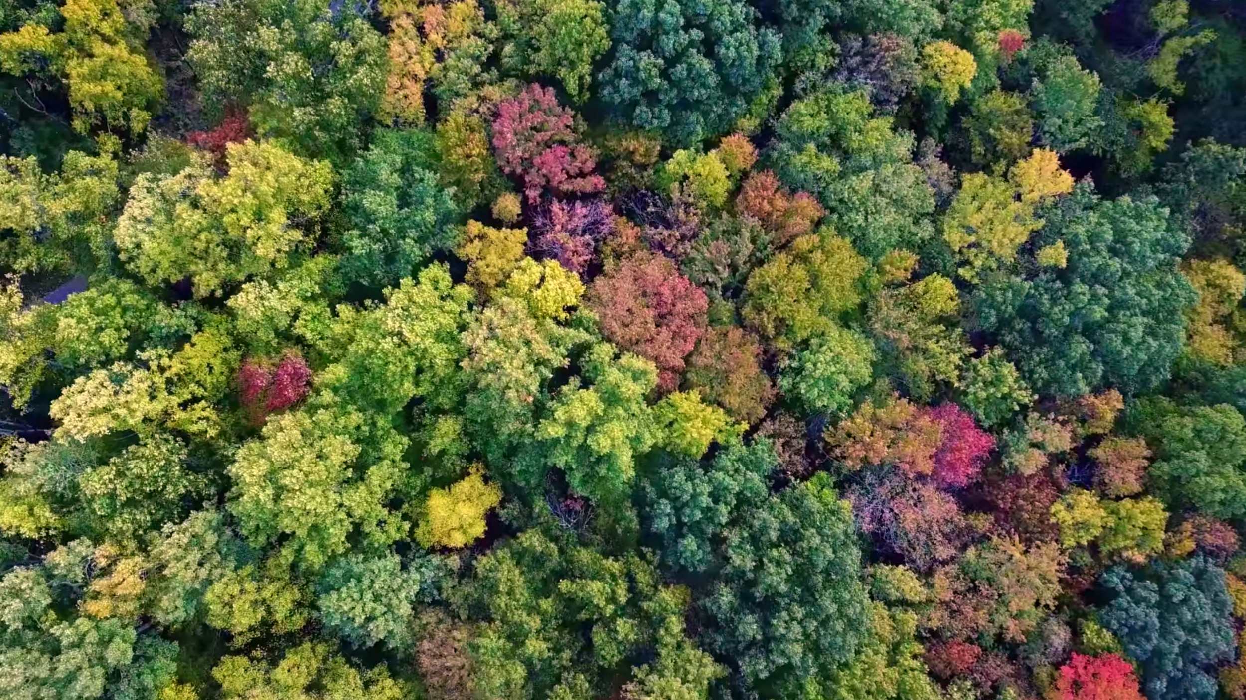 DroneRise - Fall drone video shows Cuyahoga Falls, Ohio - DroneDJ