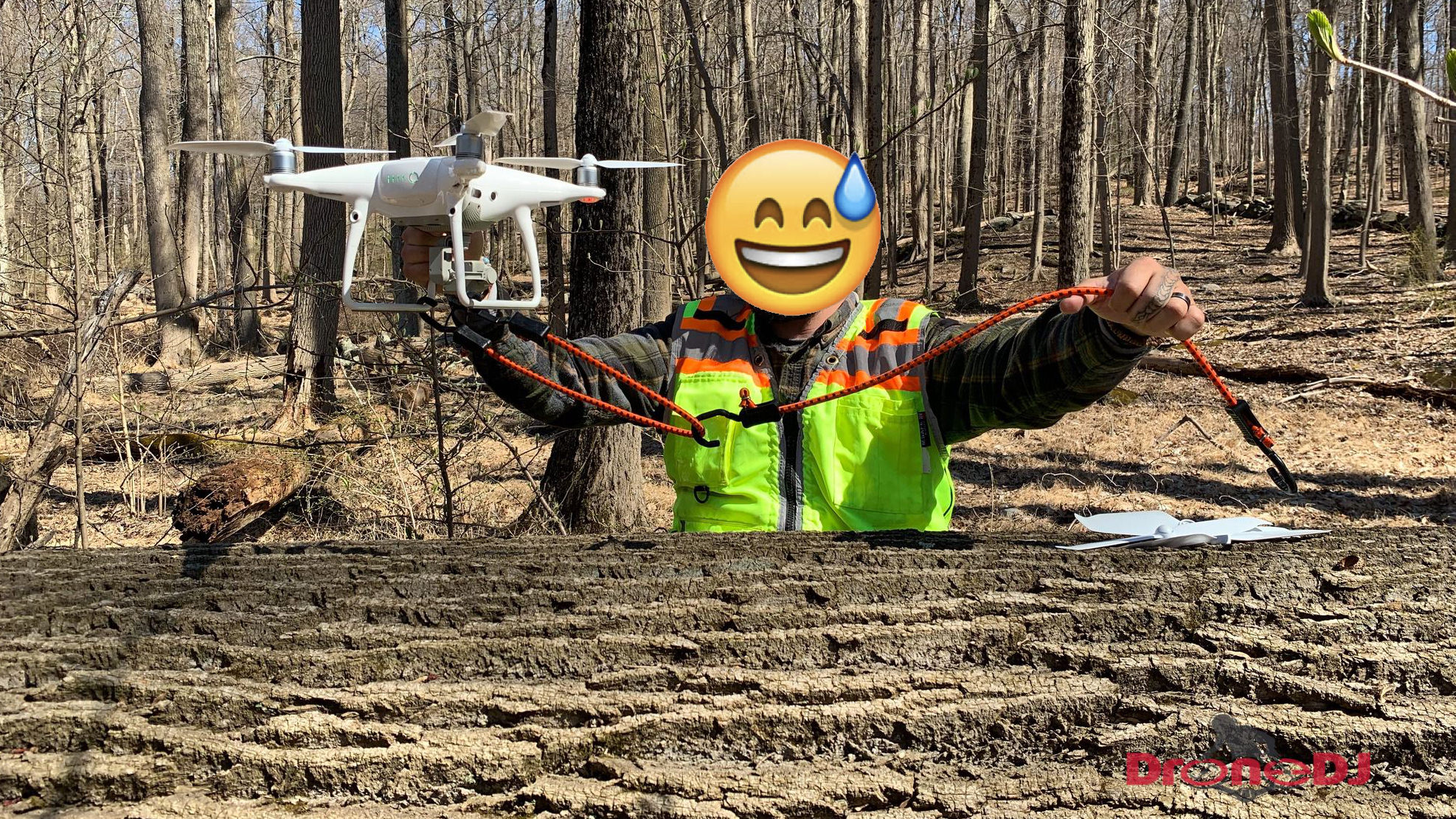 Drone rescue operation: two DJI Phantom 4's stuck in tall oak trees