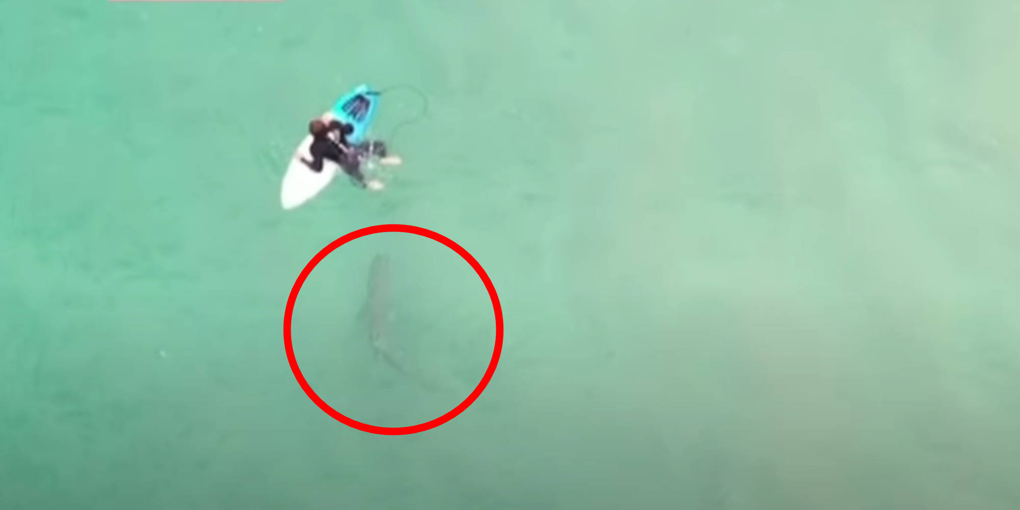 Drone captures surfer oblivious to a shark below - DroneDJ