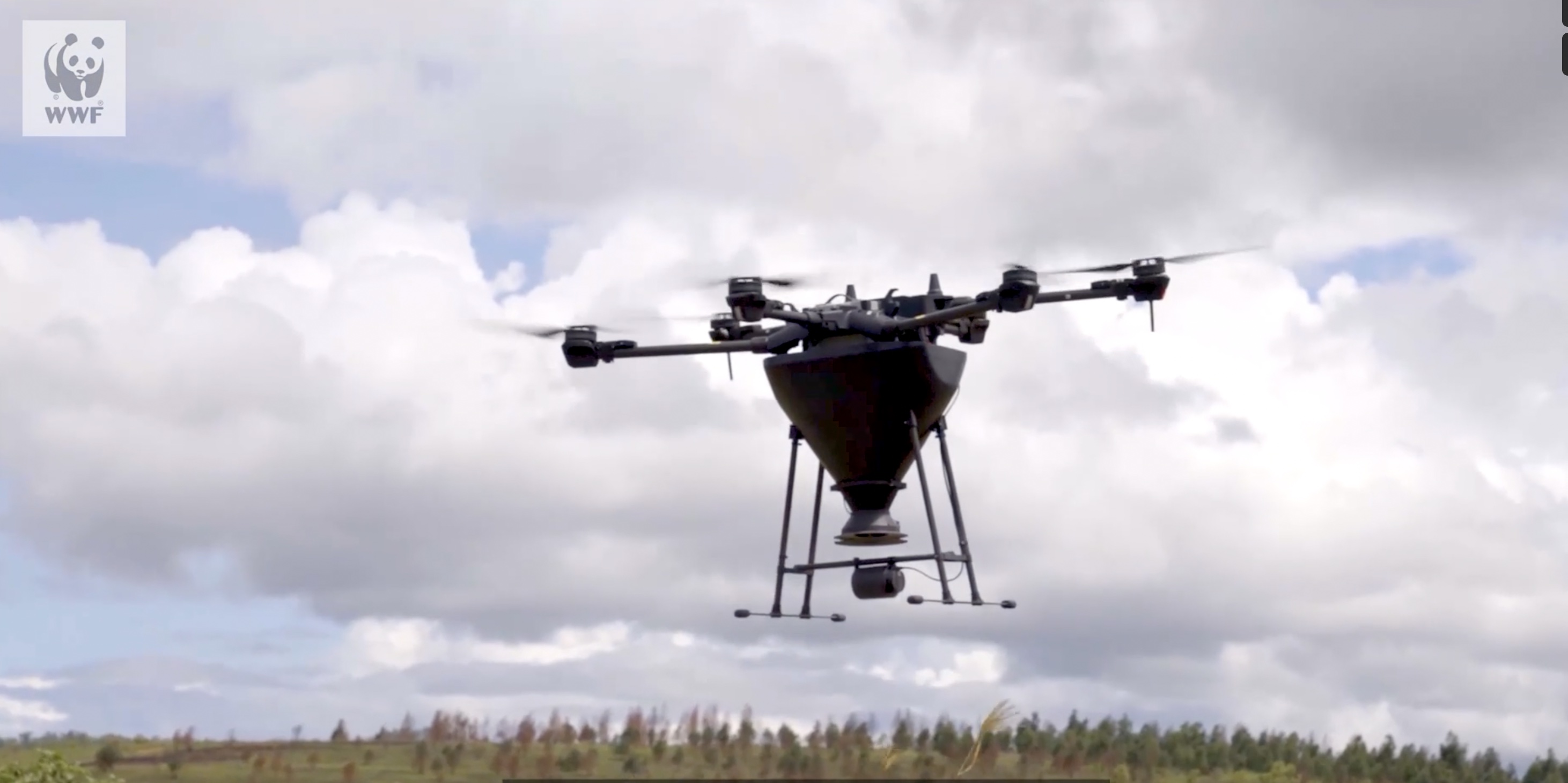Oz partners fly drones to regenerate habitat of depleted koalas - DroneDJ